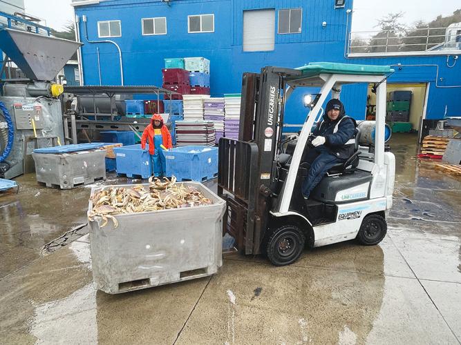 Commercial crabbing begins | News | newportnewstimes.com