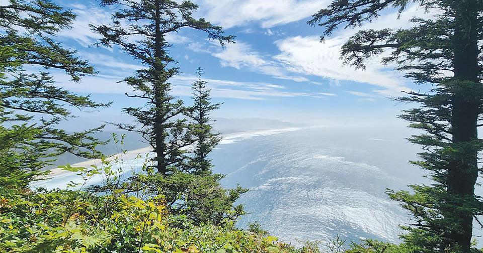 Timber and Tides webinar series offered | Coast Life | newportnewstimes.com