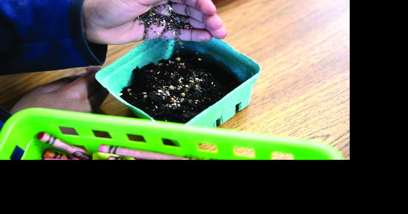 OSU Extension seed giveaway returns for sixth year | News ...
