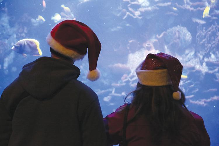 Chart a course for Sea of Lights | Coast Life | newportnewstimes.com