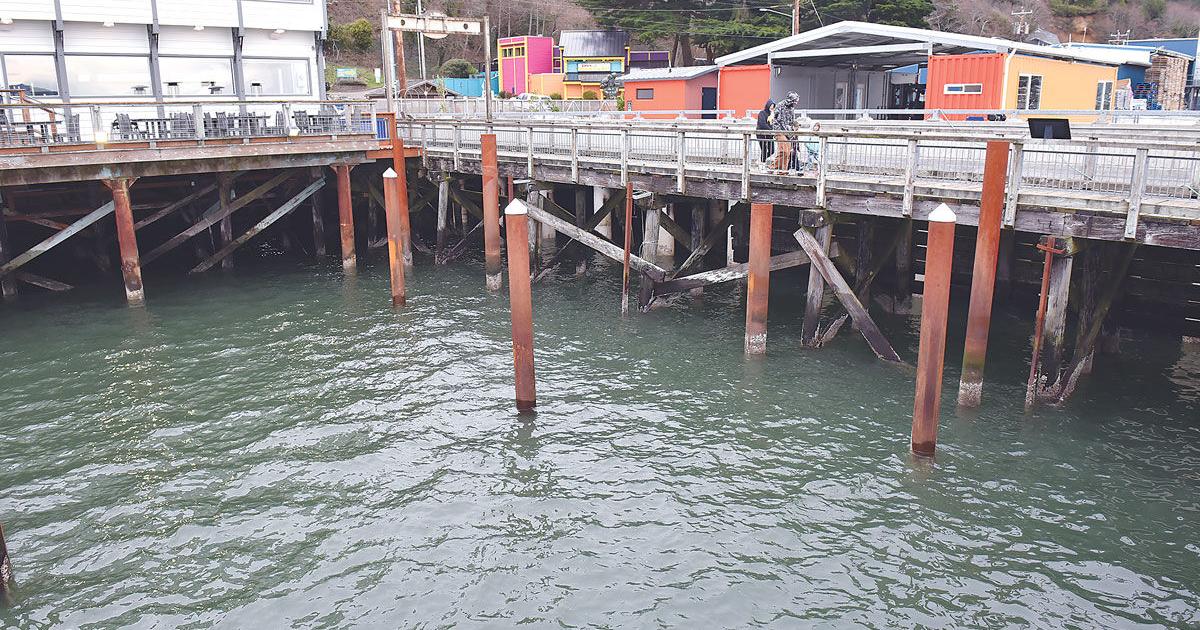 Weather takes out sea lion docks | News | newportnewstimes.com