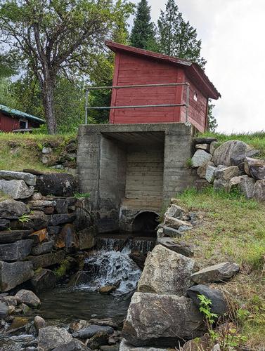 Shadow Lake Action Plan In The Works | News ...