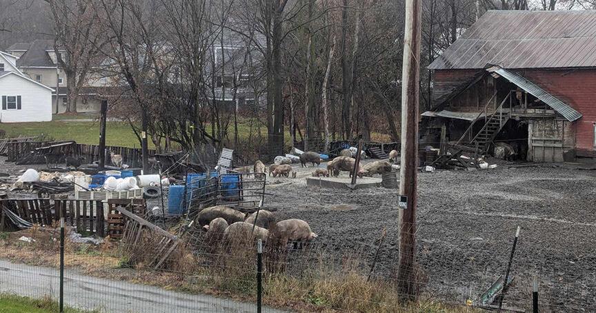 Zoning Violation Order Rescinded | News | newportvermontdailyexpress.com