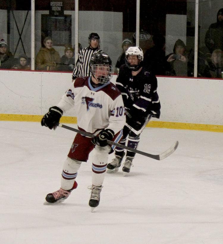 Hockey Falcons Beat SBHS, Basketball Boys Fall to Lakers | Sports ...