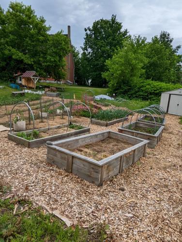 Garden Fosters Community Spirit | News | newportvermontdailyexpress.com