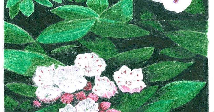 ORRIN MORRIS: Earth’s wonders are evidence of God | Faith | news-daily.com