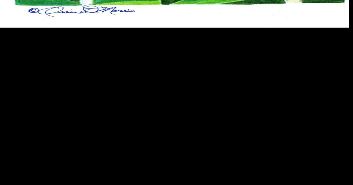 ORRIN MORRIS: We should nurture one another in our diversity | Faith ...