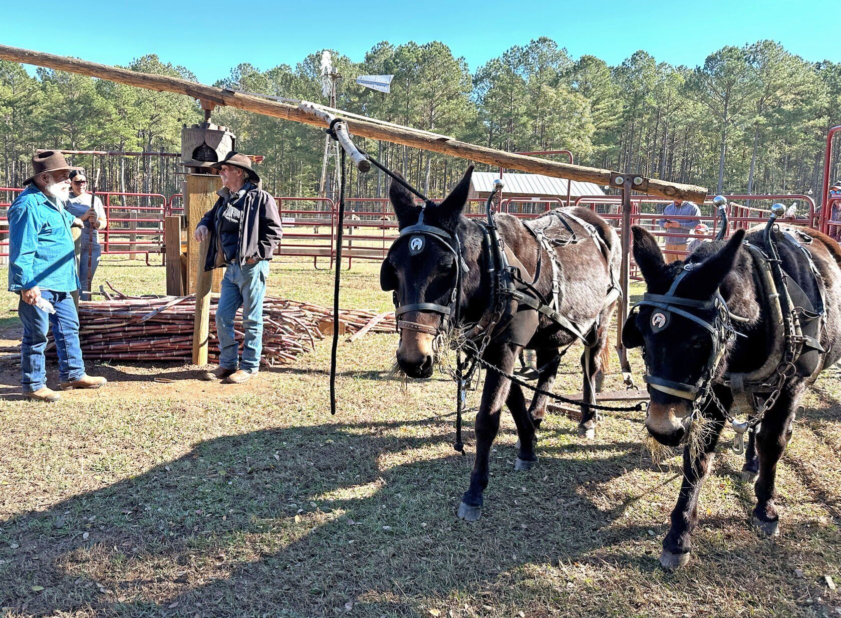 Dauset Trails Nature Center to host annual Syrup Festival | News | news ...