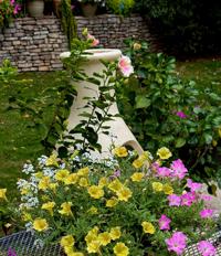 St. Louis City coach Yoann Damet embraces challenge | Fieldlevel | news ...