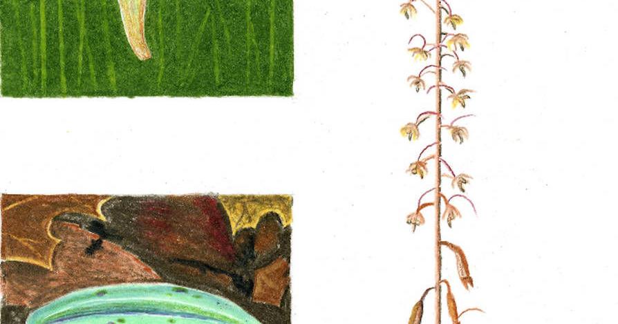 ORRIN MORRIS: God’s love is like a discovered treasure | Faith | news ...