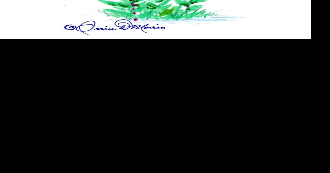 ORRIN MORRIS: Make your gratitude known to God every day | Faith | news ...