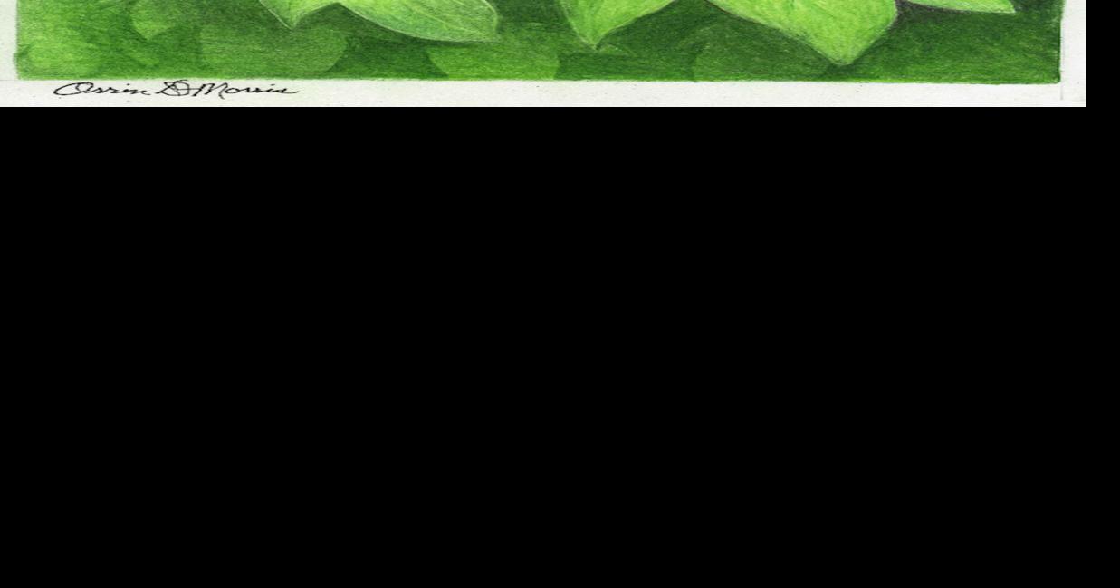 ORRIN MORRIS: Let us all strive to be peacemakers | Faith | news-daily.com