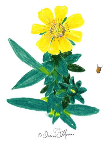 ORRIN MORRIS: Leave the timetable for judgement to God | Faith | news ...