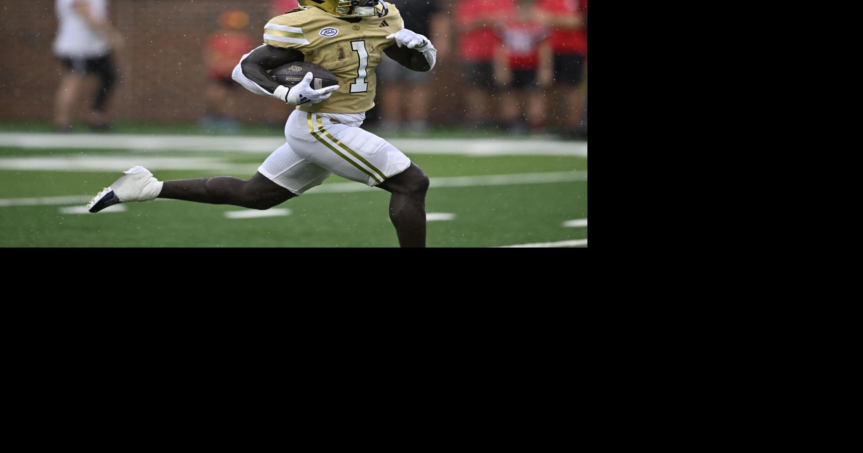 PHOTOS: Georgia Tech vs. Gardner-Webb Football | Clayton News Photo ...