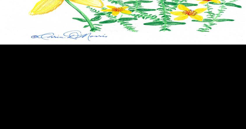 ORRIN MORRIS: Without love, all our good works are meaningless | Faith ...