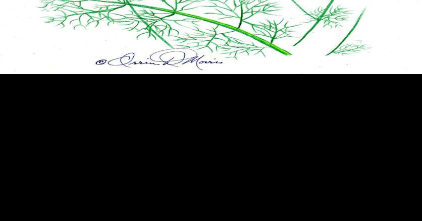 ORRIN MORRIS: We are all known by our own fruits | Faith | news-daily.com