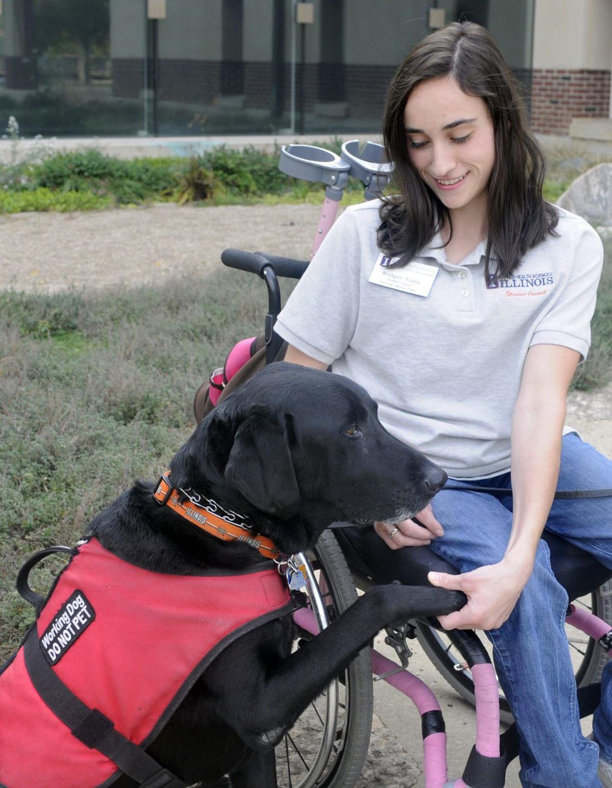 Training of service dogs called first on college campus | News | news ...