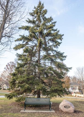 Top of the Morning, Dec. 8, 2022 | Local News | news-gazette.com