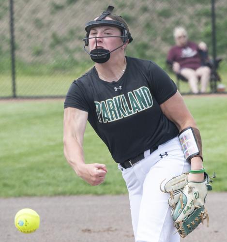 Yergler enjoying success close to home | Sports | news-gazette.com