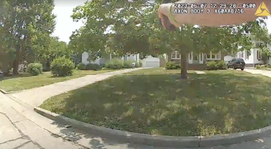 State's attorney: Rantoul officer's use of lethal force was legally ...