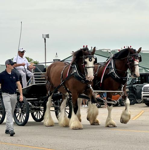 Kathy's #Mailbag, May 29, 2026 | Business | news-gazette.com