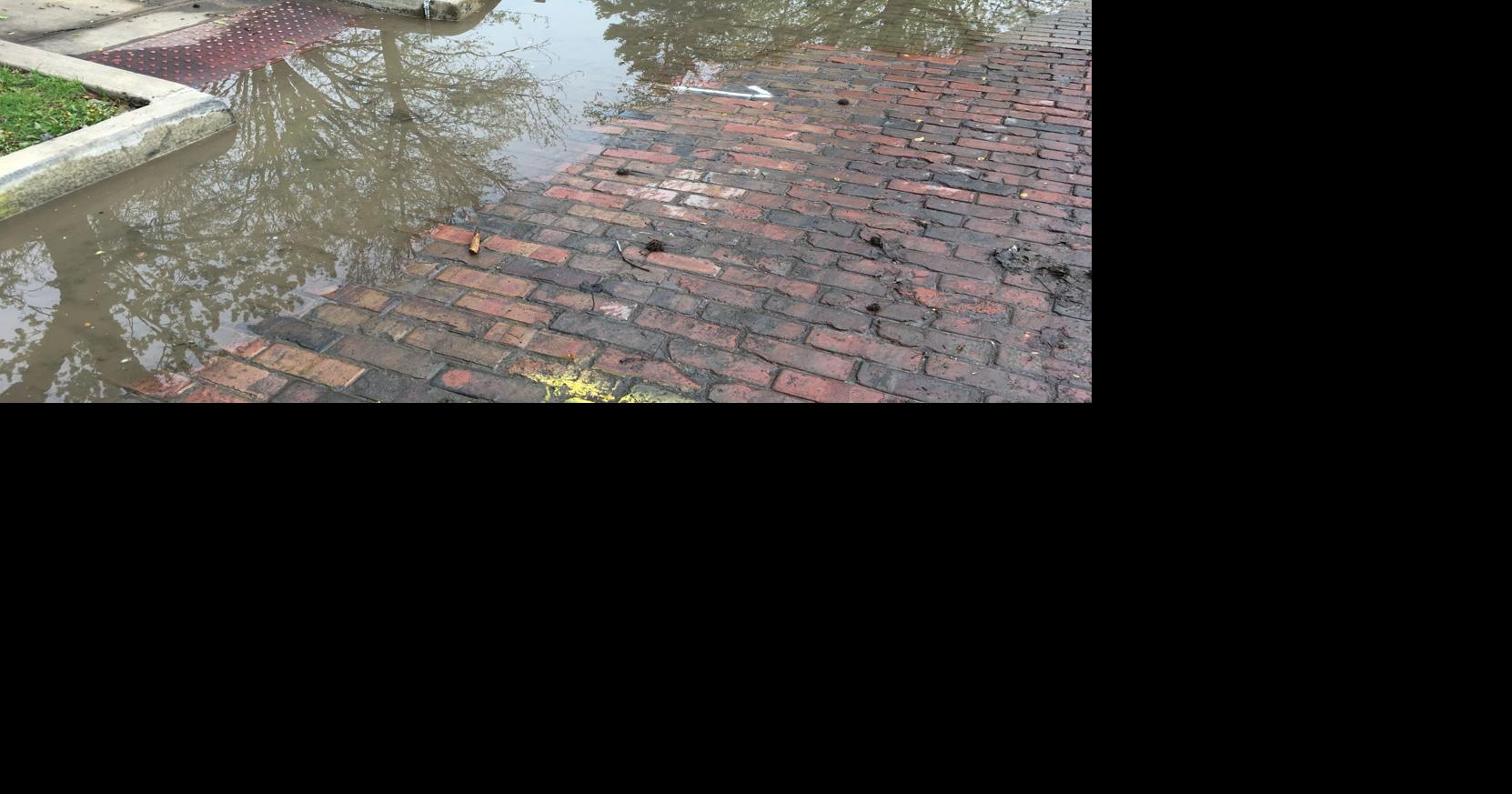 Just Askin' | Can I still adopt a drain? | Parks-recreation | news ...