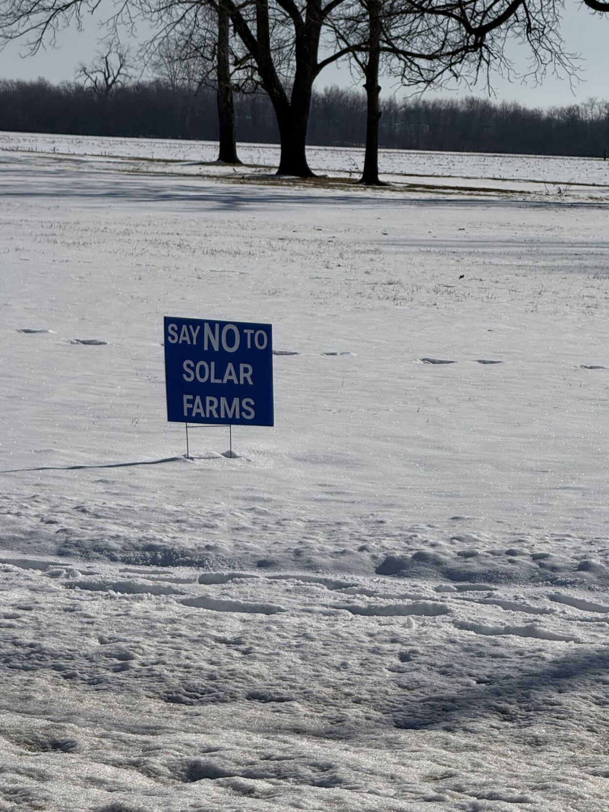 Catlin-Tilton Road solar farm awaiting action by local governments ...