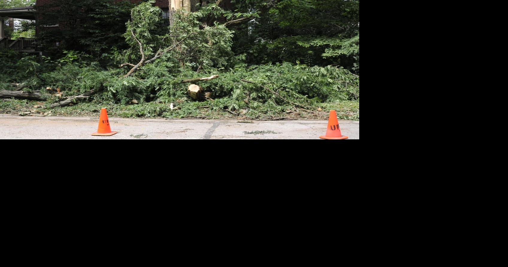 Crews tackle downed tree limbs, power lines | News | news-gazette.com