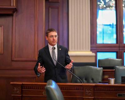 Marron named assistant Illinois House GOP leader | Politics | news ...