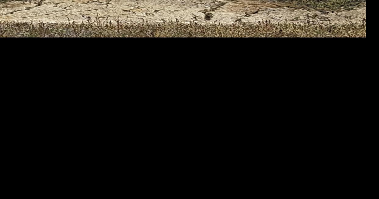 Northbound I-57 closed at night this week at I-74 interchange for work ...