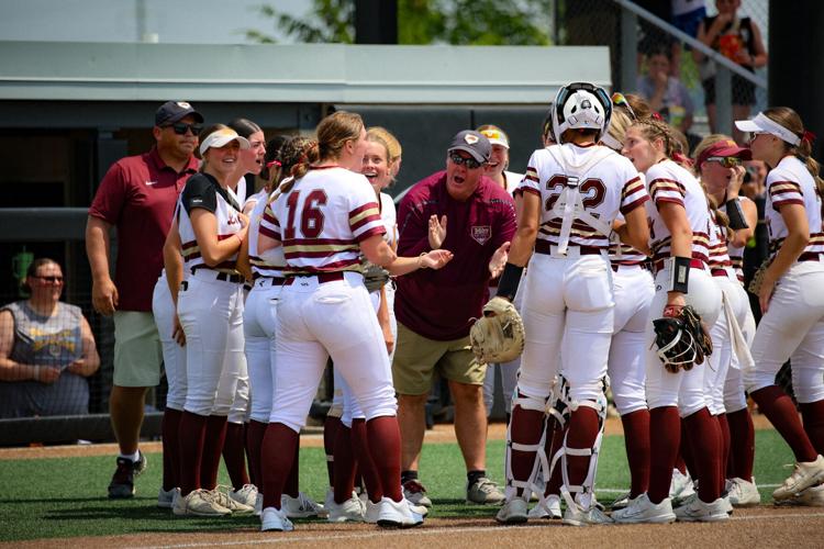 Mennenga's walk-off single lifts LeRoy to state title game | Sports ...