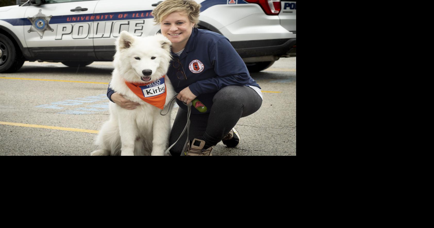 Illini Legends, Lists and Lore: Tara Hurless | Sports | news-gazette.com