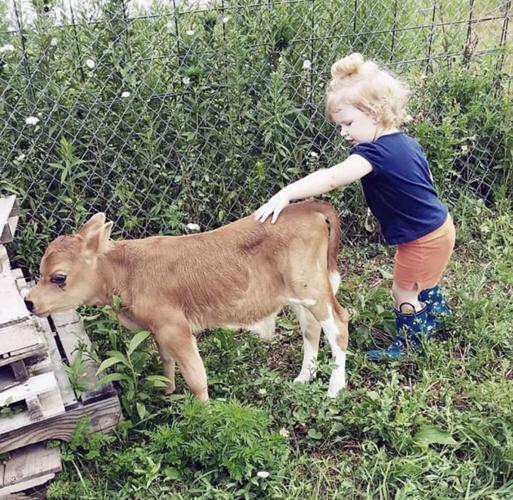 From State Farm to the farm: Loda man milking his retirement ...