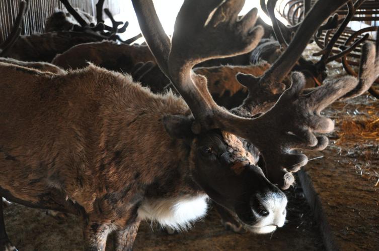 Residents raising a stink over hog waste sludge | News | news-gazette.com