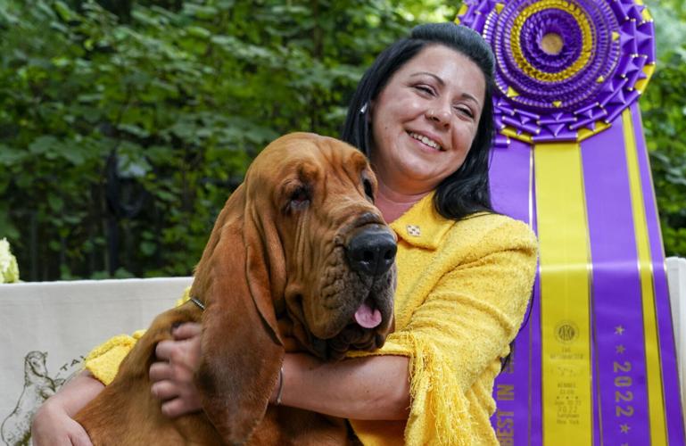 Big 10: A tribute to Trumpet, the history-making hound from St. Joseph ...