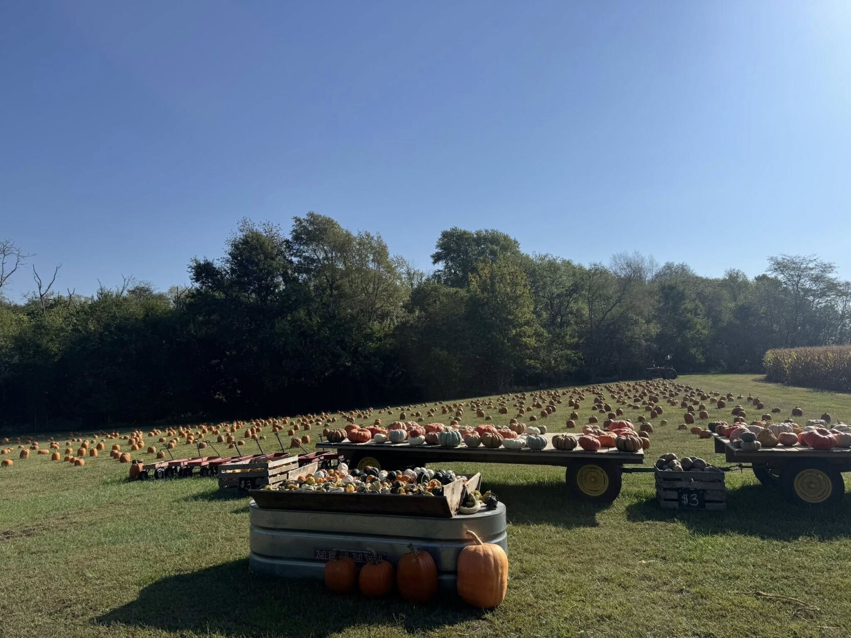 Farm Family of the Week | Meet the Brookses of Fairmount | Agriculture ...