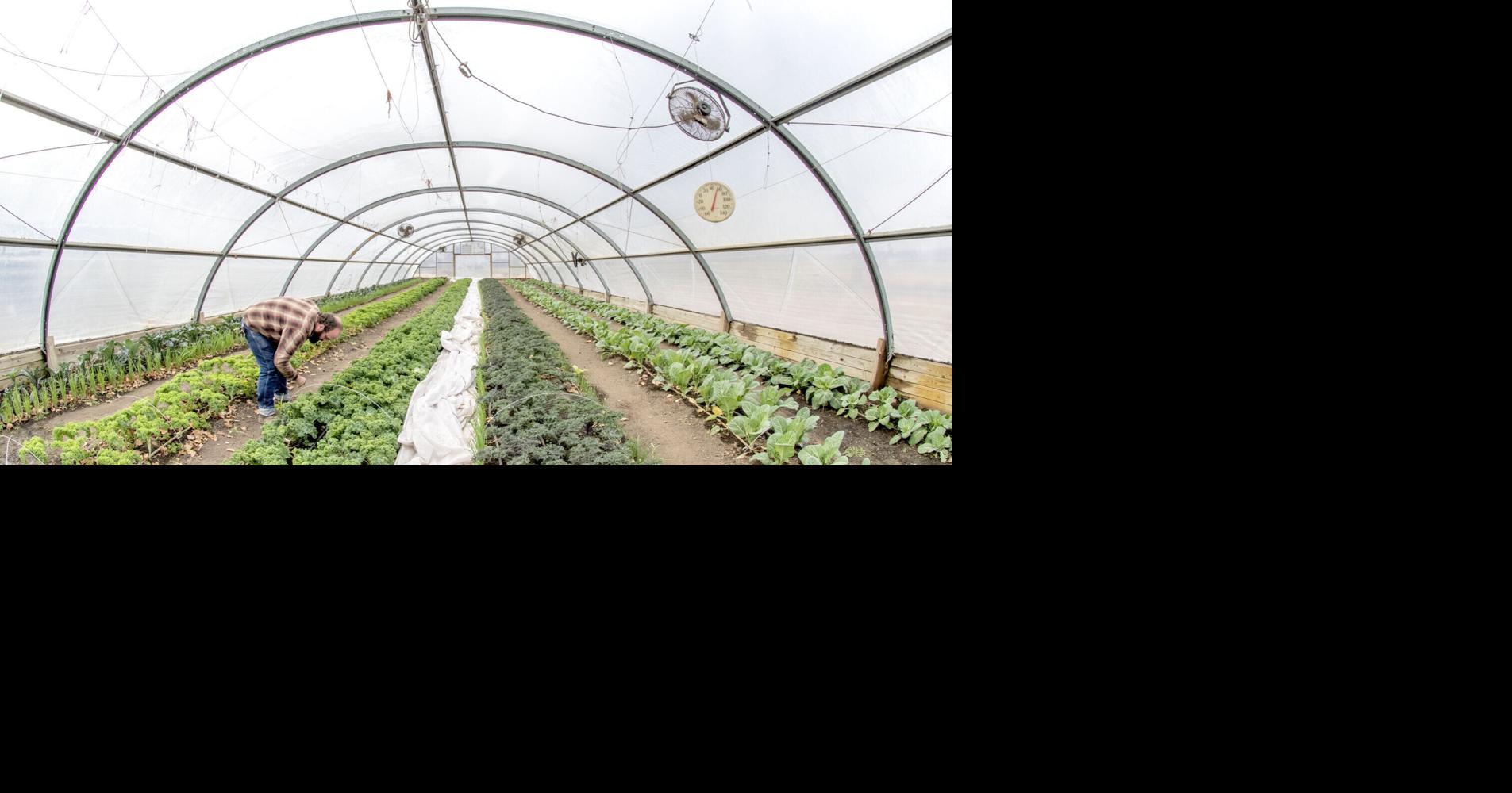 Sola Gratia Farm: Ready to grow | News | news-gazette.com