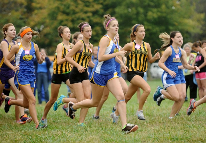 Oakwood Cross Country Meet 2013 | Cross-country | news-gazette.com