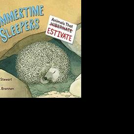 Alice B. McGinty | Summer snooze | Books | news-gazette.com