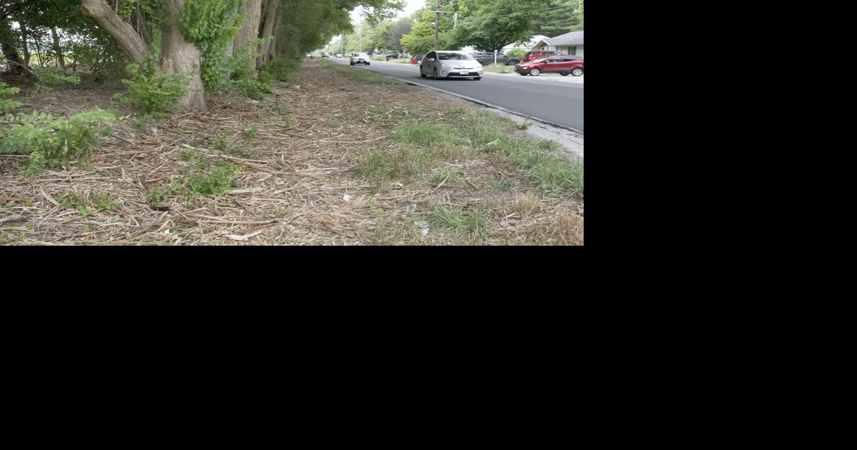 Portion of Duncan Road area cleared of brush | Transportation | news ...