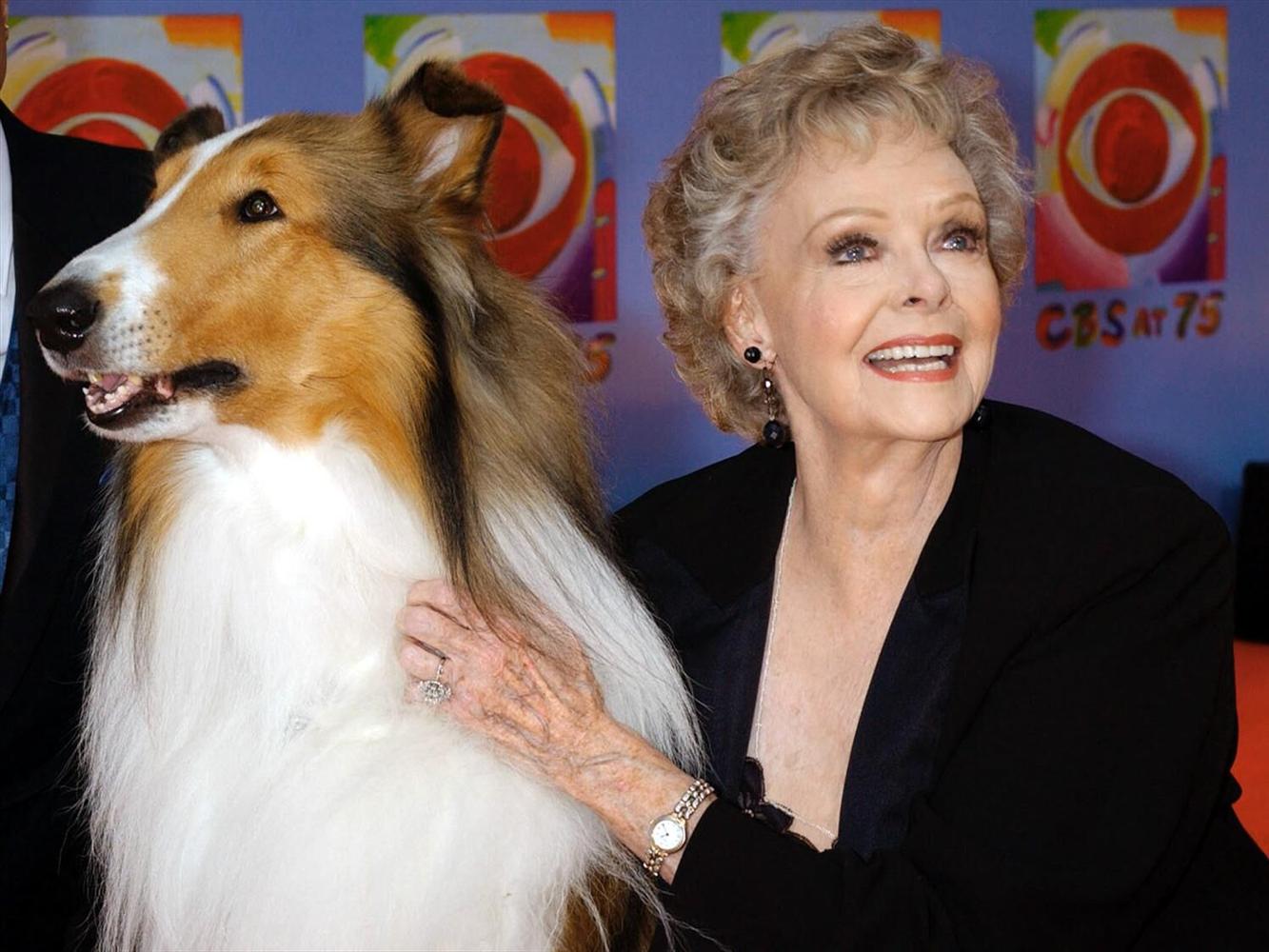 Holy Cow History | The (celebrity) centenarian White House ...