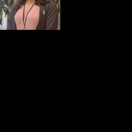 Veteran Champaign County probation employee named to head office ...