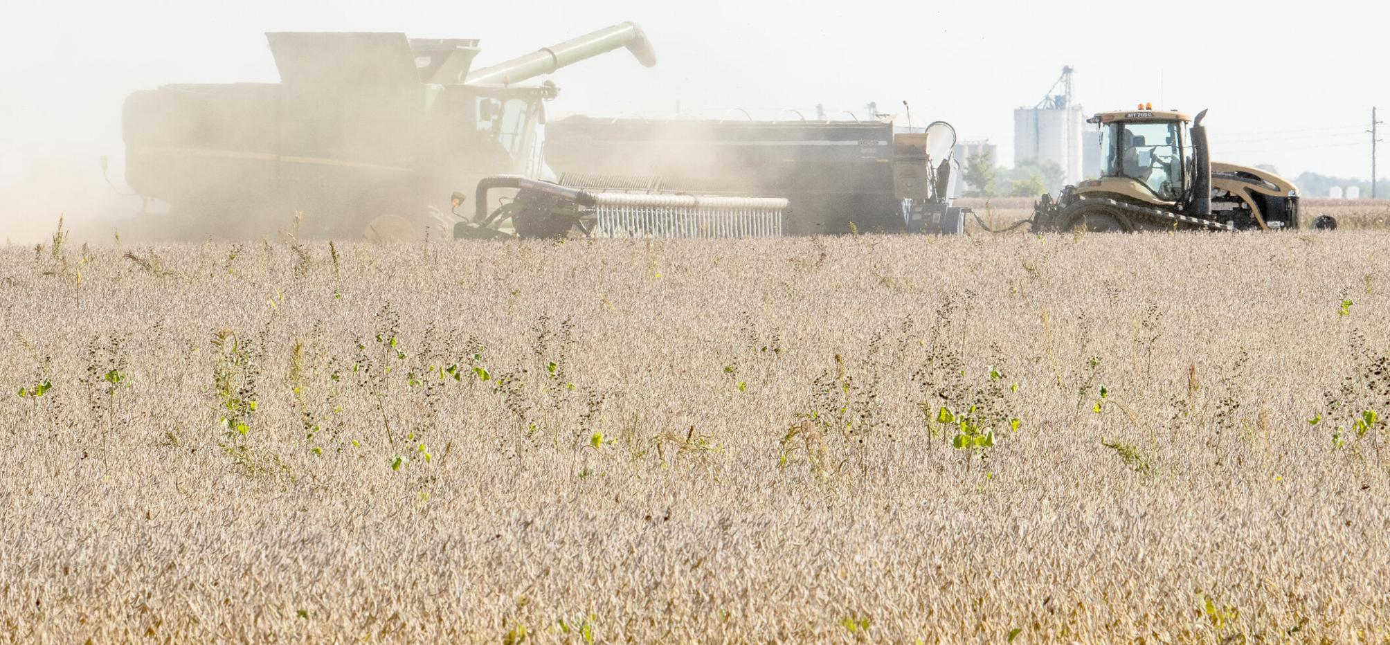 The vast majority of Illinois farms are still family-owned ...