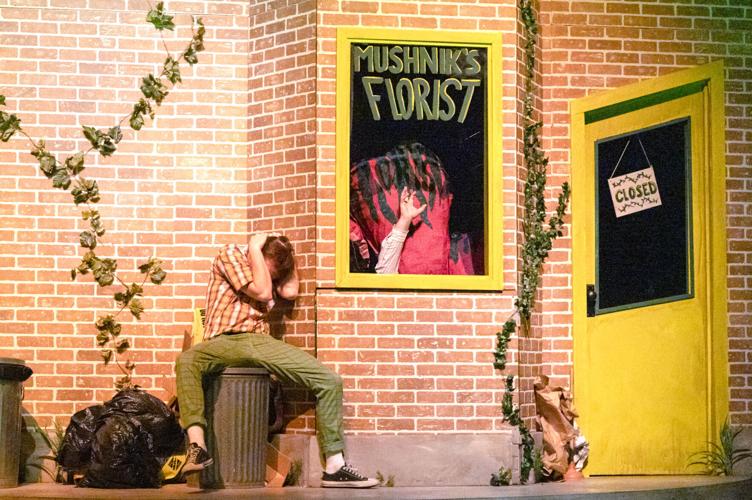 Review/Jeffrey Eric Jenkins | Parkland's 'Little Shop of Horrors ...