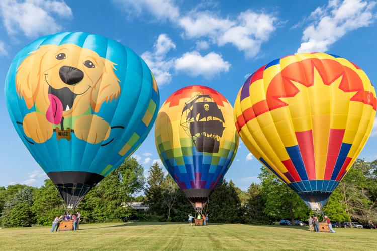 Balloons Over Vermilion: 'Barx' joins family's litter of dog-inspired ...