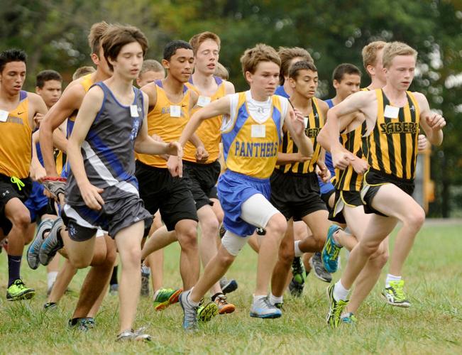 Oakwood Cross Country Meet 2013 | Cross-country | news-gazette.com
