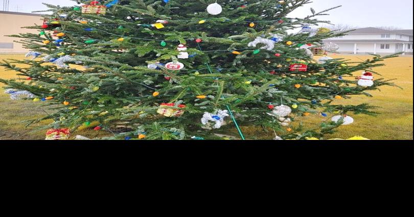 Just Askin' | Where do community Christmas trees come from? | Columns ...