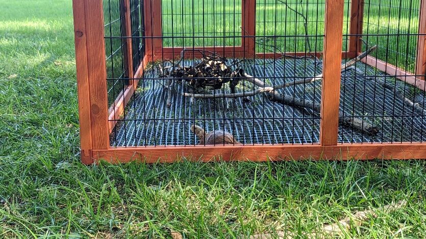 Inside Out | Thinking inside and outside the enclosure | Parks ...