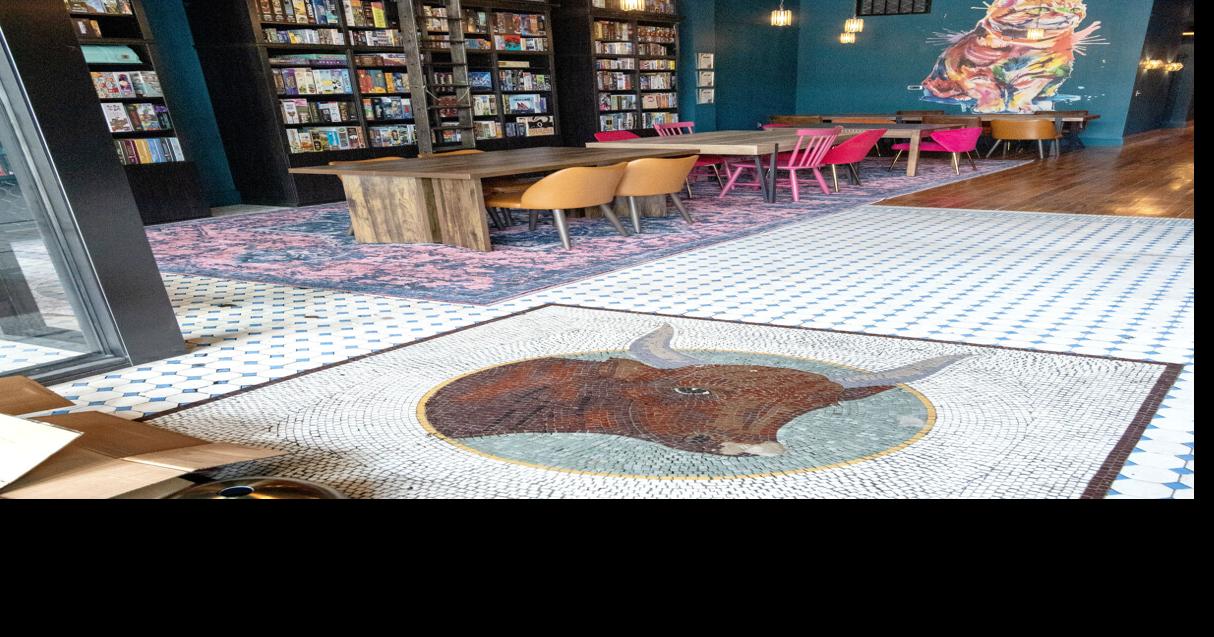 It's Your Business | Champaign cat lounge, board-game café hopes to ...