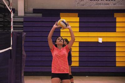 Setting the record straight: Quarterbacks on the volleyball court | Our ...